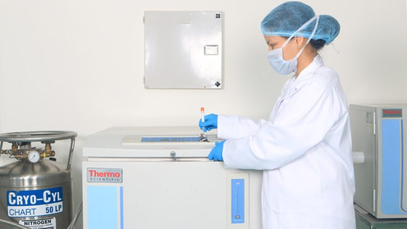 Quality Control: The Neglected Side Of Cell Culture | Kosheeka