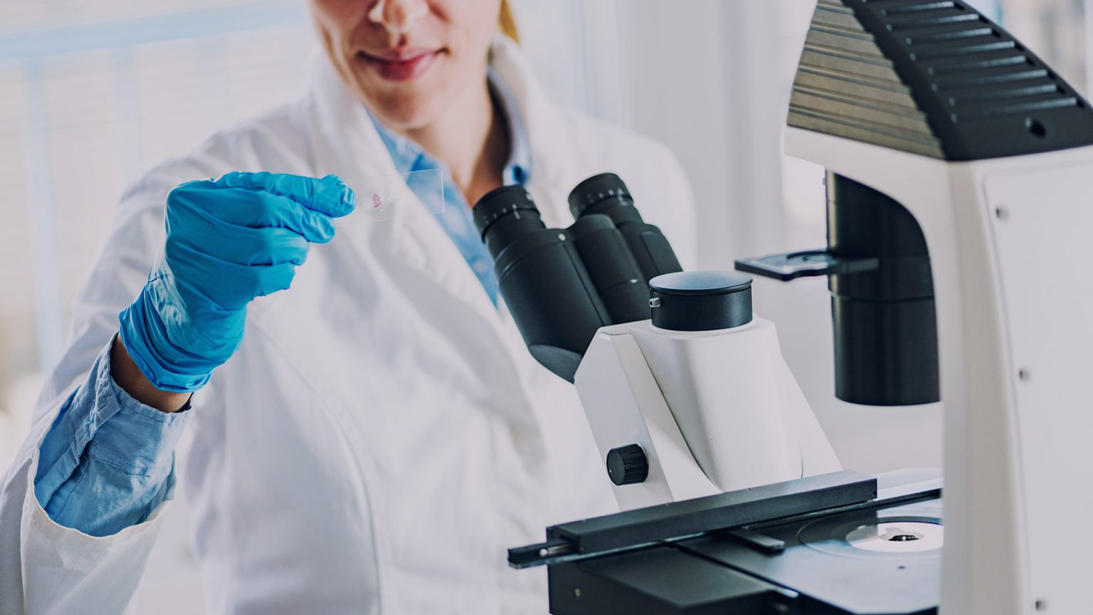 The Magic Of Primary Cells | Where Are Primary Cells Used? | Kosheeka