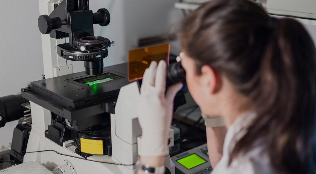 How Primary Cells Are Important for In Vitro ADMET? - Kosheeka