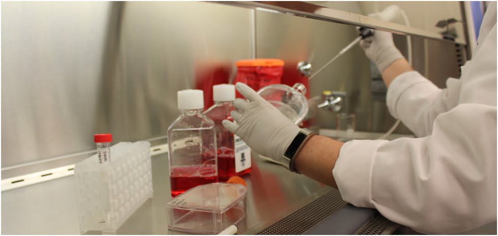 9 Applications of Animal Cell Culture I Kosheeka