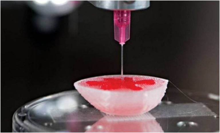 3D Bioprinting- The Future of Primary Cell Culture - Kosheeka