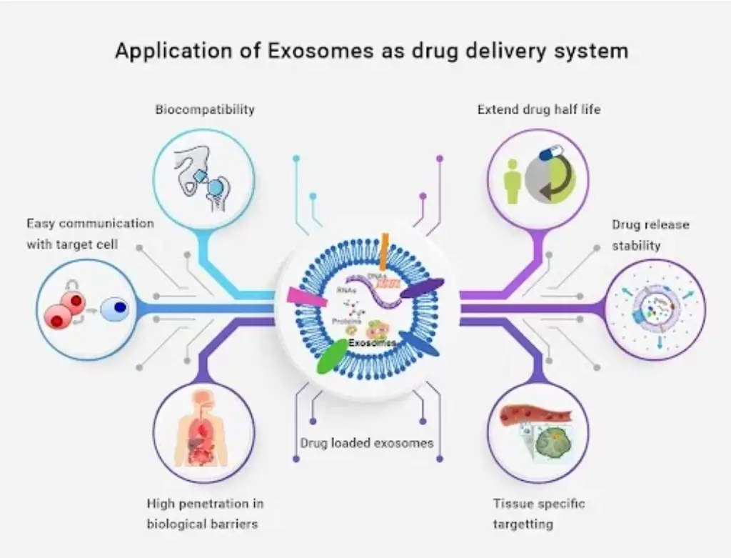 Extracellular Vesicles Function - Kosheeka