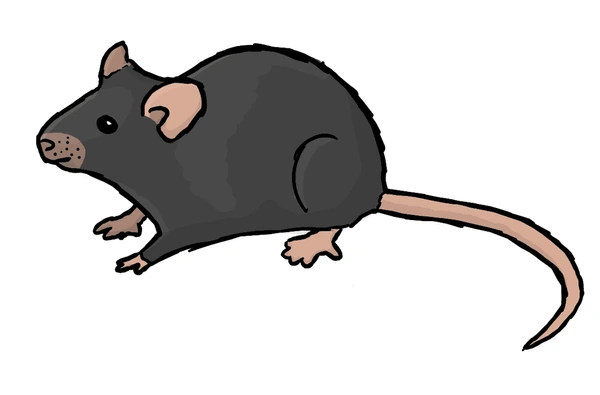 C57 Mouse Whole Blood | High-Quality Laboratory Research Blood