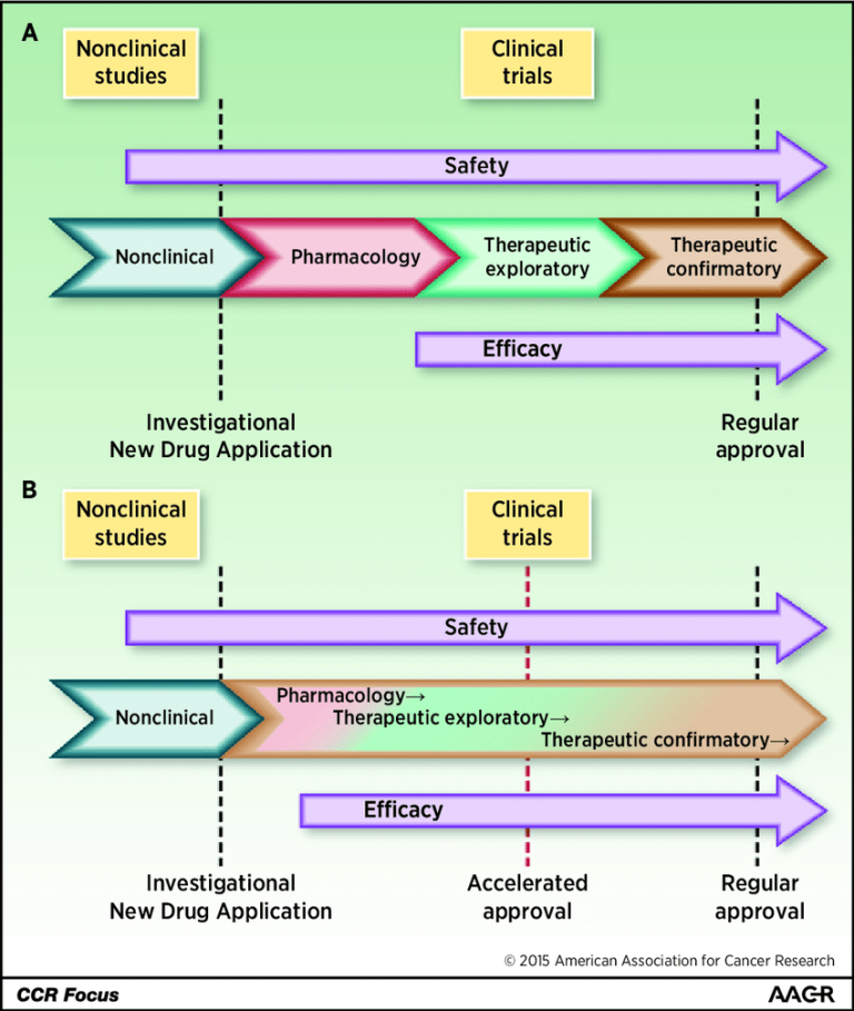 Unveiling the Drug Development Journey through clinical trial