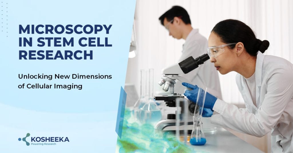 Microscopy in Stem Cell Research: 3D Cellular Imaging Research