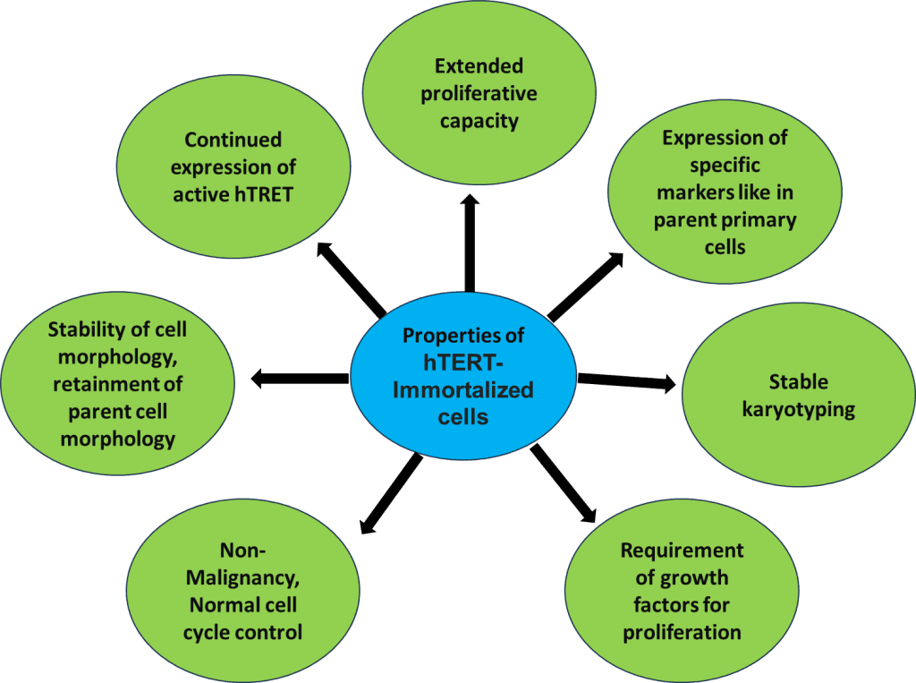 hTERT-immortalized cells - link diploid cells and immortalized cell