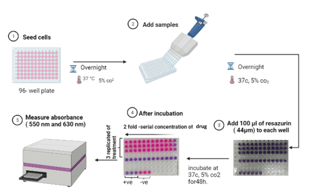 In Vitro Cytotoxicity Assays: Applications in Drug Discovery
