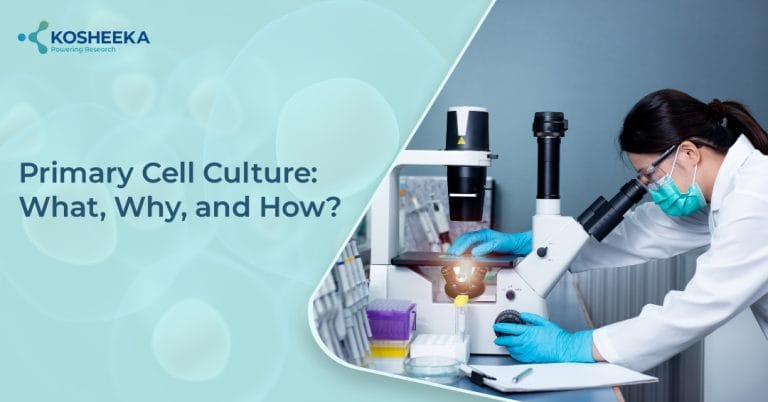 Primary Cell Culture: What, Why, and How?