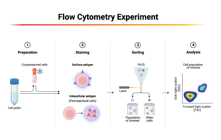 Flow Cytometry and Its Applications | Kosheeka