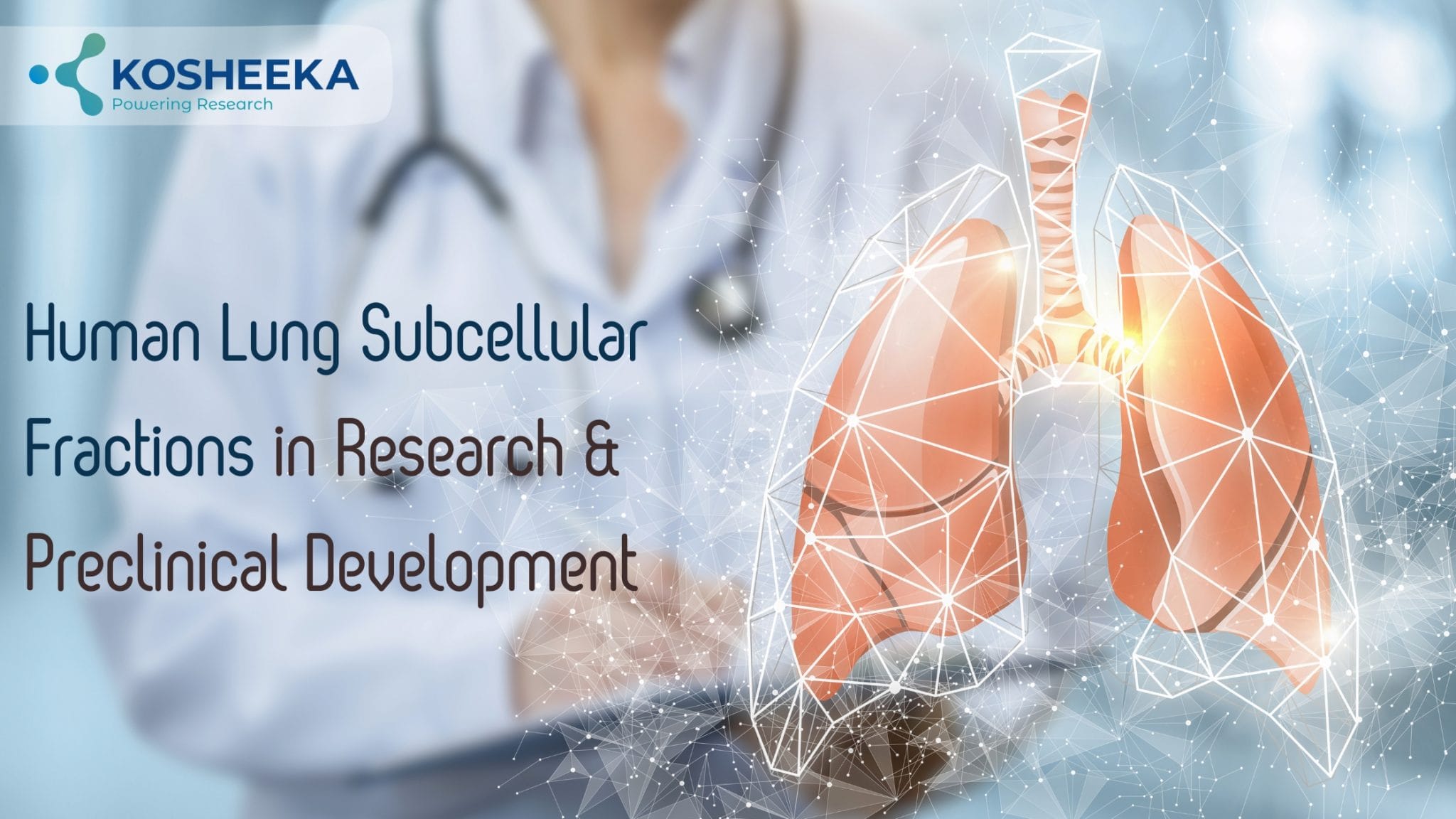 Human Lung Subcellular Fractions in Research & Preclinical Development