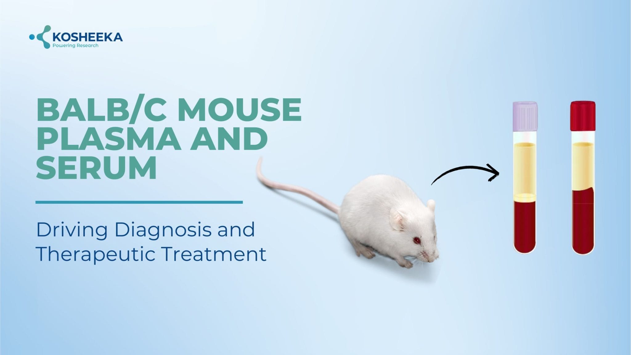 BALB/c Mouse Plasma and Serum in Diagnosis and Therapy