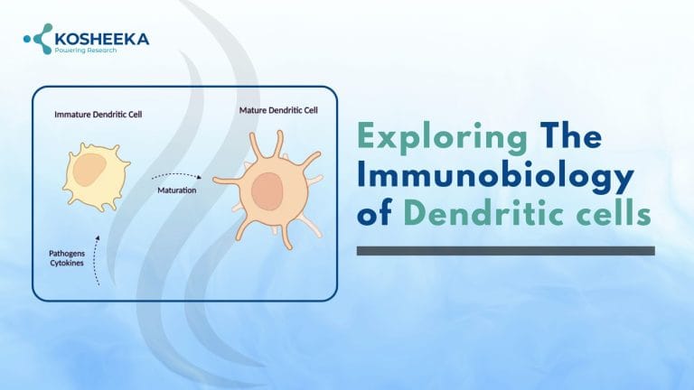 What Are Dendritic Cells And Their Role In Immunobiology